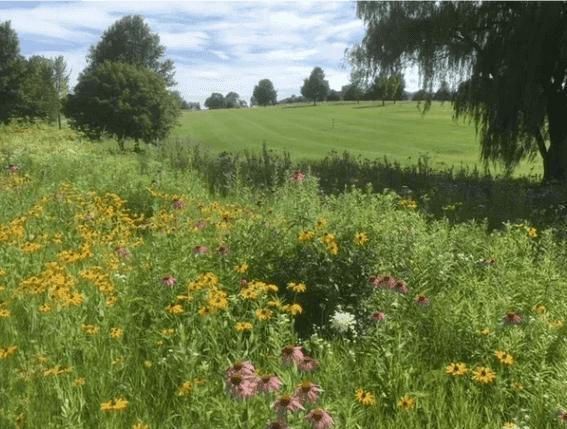 Amenities - Lake Carroll Association